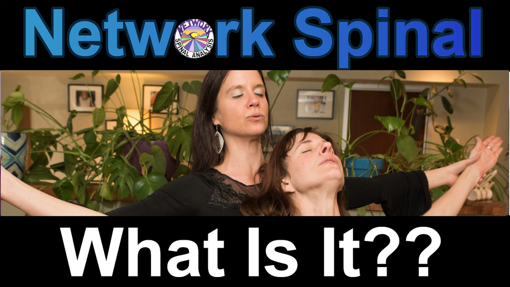 What Is Network Spinal Analysis Interview With Amanda Love Network