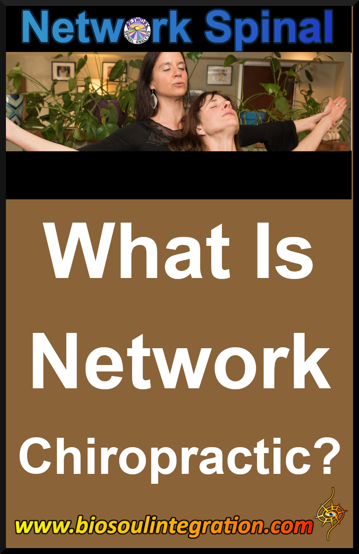 What Is Network Spinal Analysis Interview With Amanda Love Network
