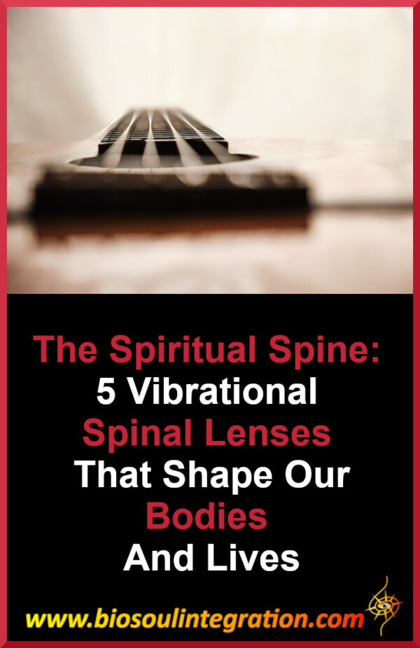 Spiritual Meaning Of Spine: 5 Vibrational Lenses That Shape Us ...