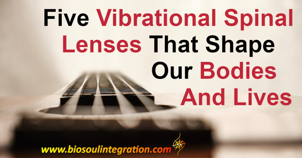 Spiritual Meaning Of Spine 5 Vibrational Lenses That Shape Us BioSoul Integration Center